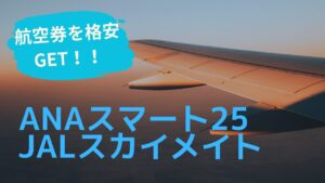 【格安！】ANAのスマートU25・JALスカイメイトの予約方法！ | すなログ